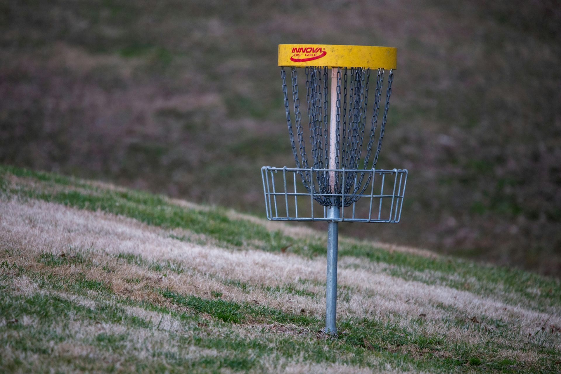 Disc Golf Mart | Columbus, Ohio's Premier Disc Golf Store
